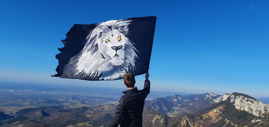 Medium Banners – Out of Our Minds Banners